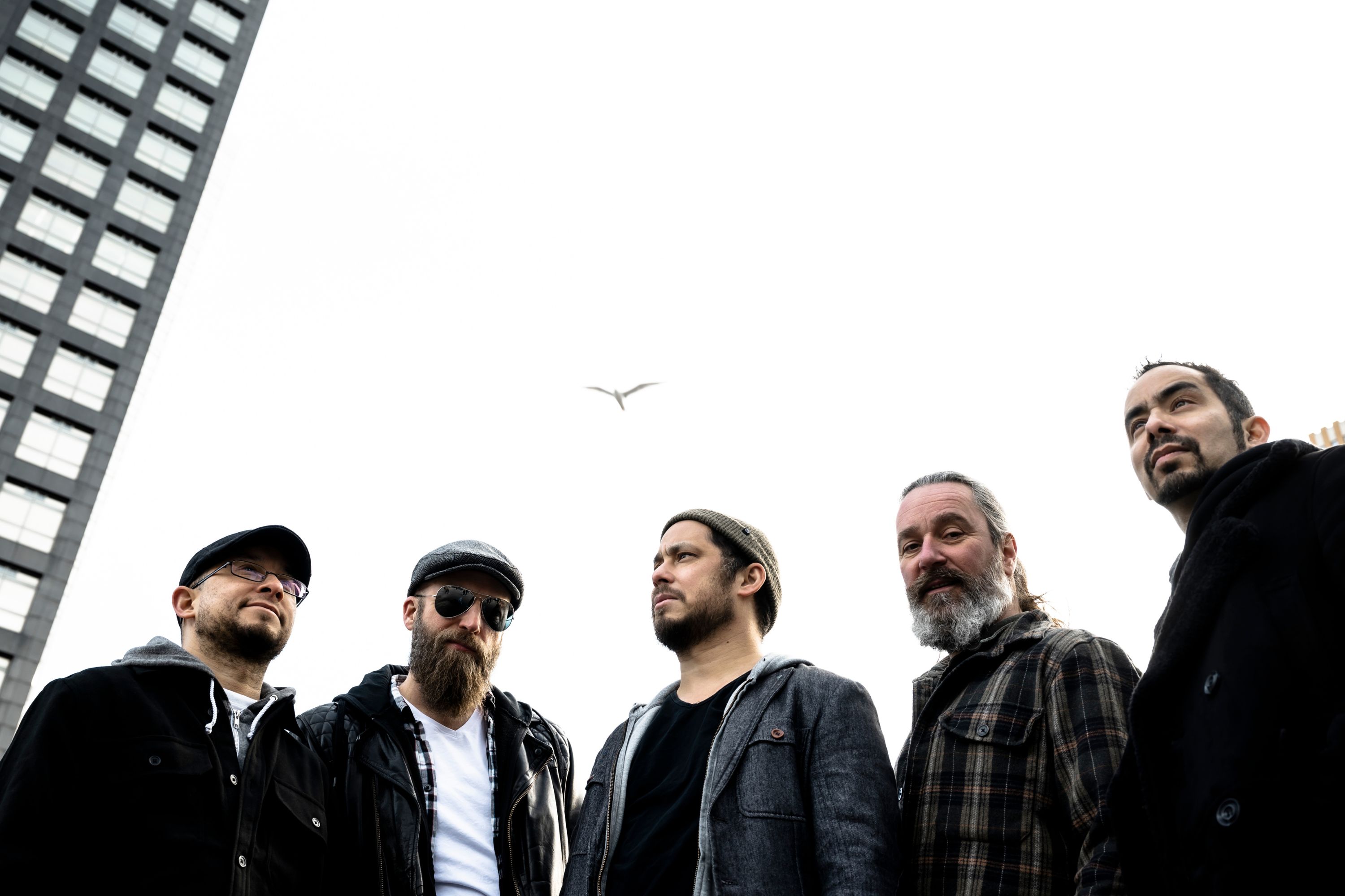 Green Lizard | Melkweg Amsterdam