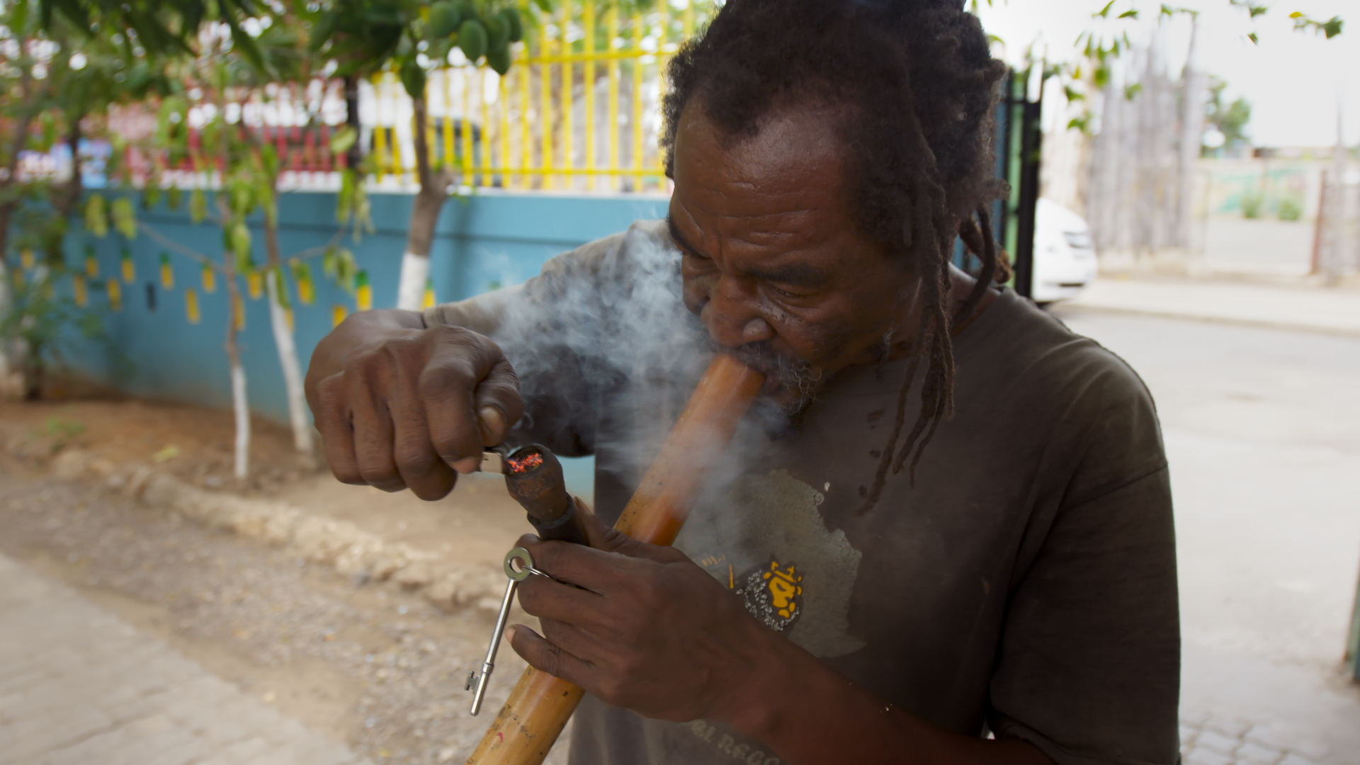 Healing of the Nation: Ganja in Jamaica (2022) | Melkweg Amsterdam